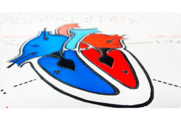 Swell Touch Paper - American Thermoform